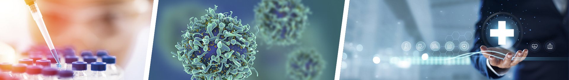 Deciphering single cell interactions in health and disease - Center for ...